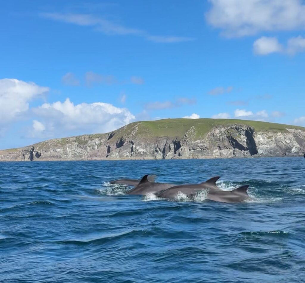 SHU in Dingle: Experience Activities - SHU in Dingle | Sacred Heart ...