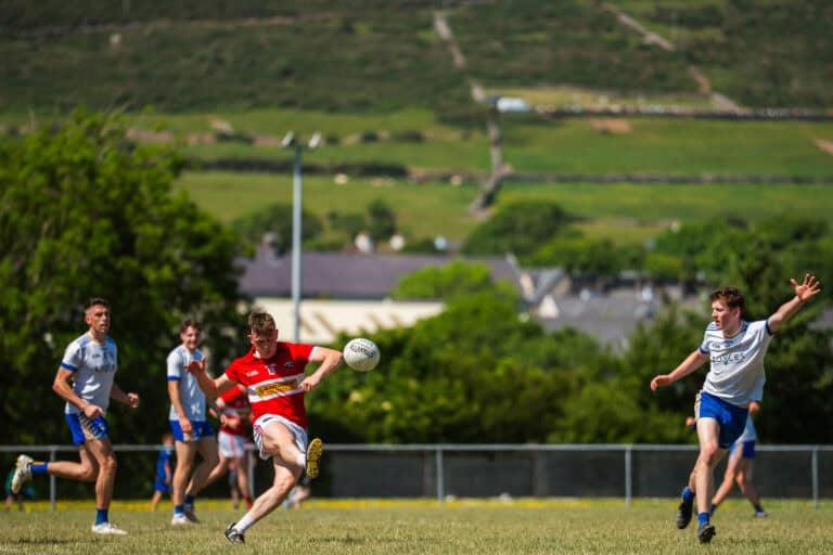 SHU Dingle Programs: Exercise Science - SHU in Dingle | Sacred Heart ...