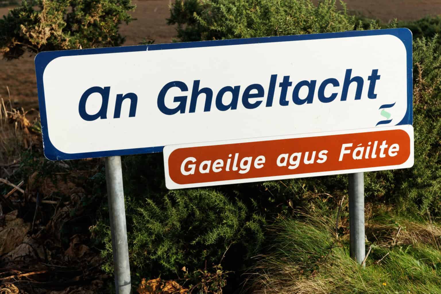 SHU Dingle Programs: Health Science - SHU in Dingle | Sacred Heart ...